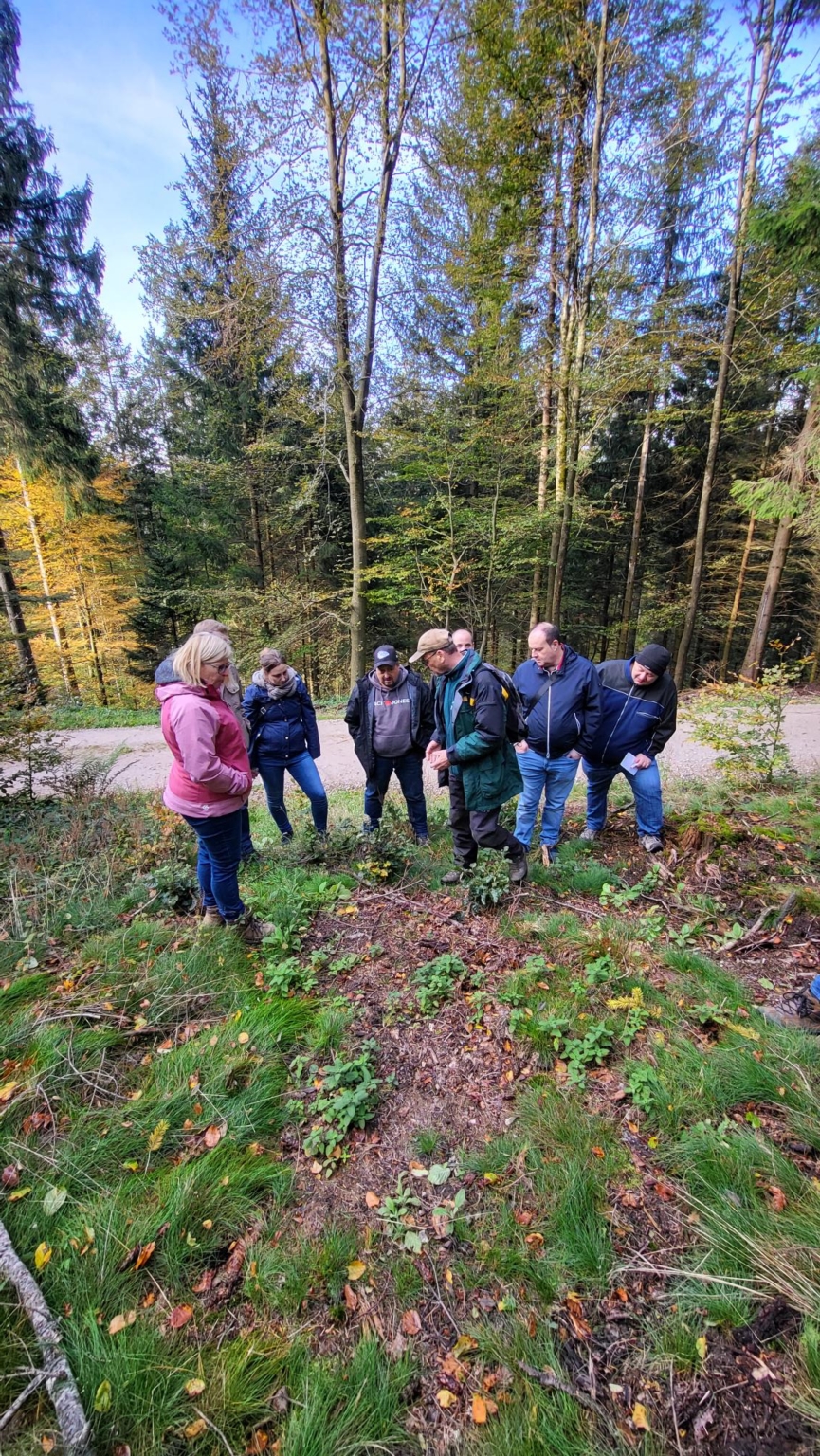 Herbstliche Waldbegehung im Laufer Gemeindewald › Lauf im Schwarzwald ...
