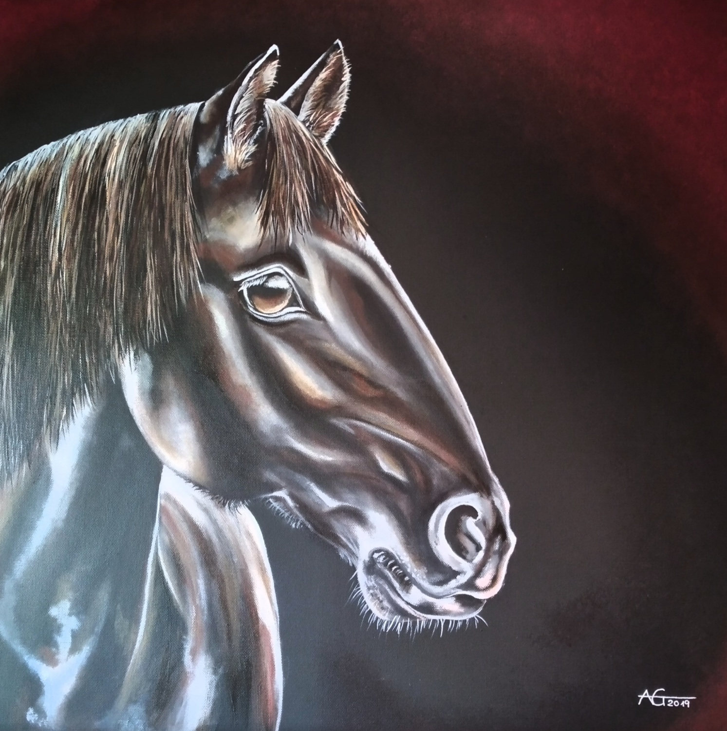 Alexandra Gaiser › Lauf im Schwarzwald - mitten in Baden - Willkommen