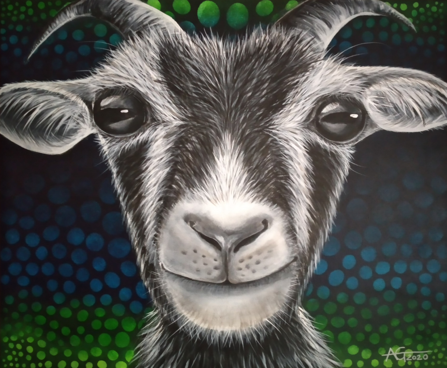 Alexandra Gaiser › Lauf im Schwarzwald - mitten in Baden - Willkommen